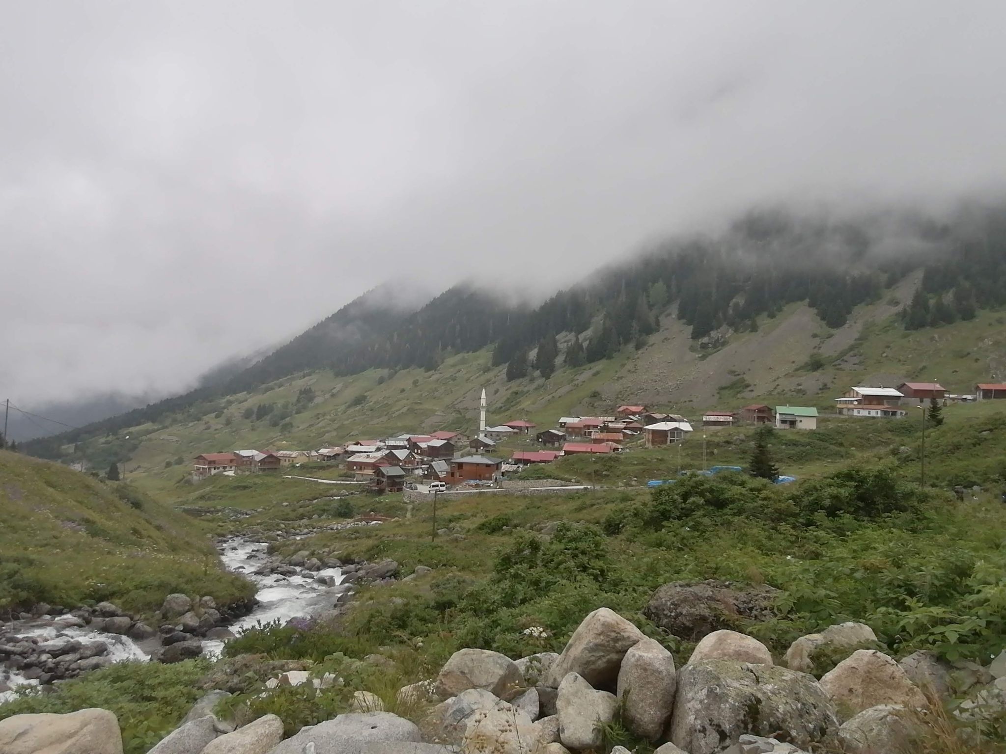 Yaylalar, yaylalar - Mete Yurtsever