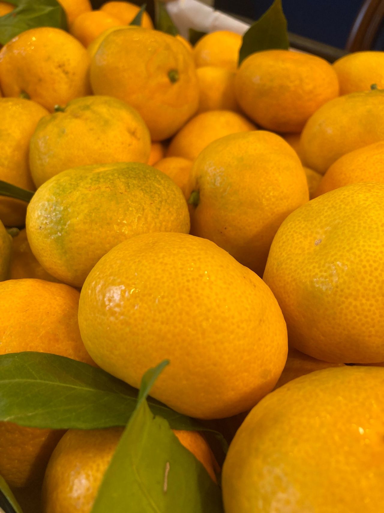 Zehirsiz tarım - Mete Yurtsever